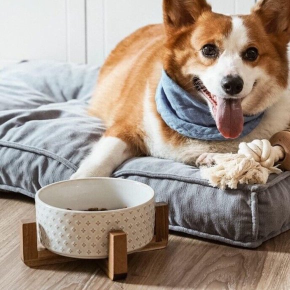 LE TAUCI | Dog | Le Tauci Dog Bowl Ceramic Dog Bowl Set With Acacia ...